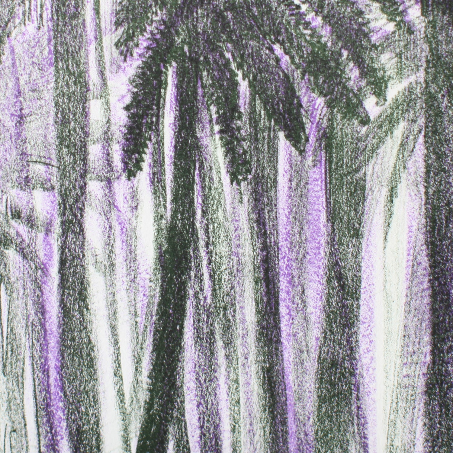 Daniel Richter, Palm Springs (Lithografie), kaufen